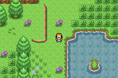 Pokémon Omega - Whack a Hack!